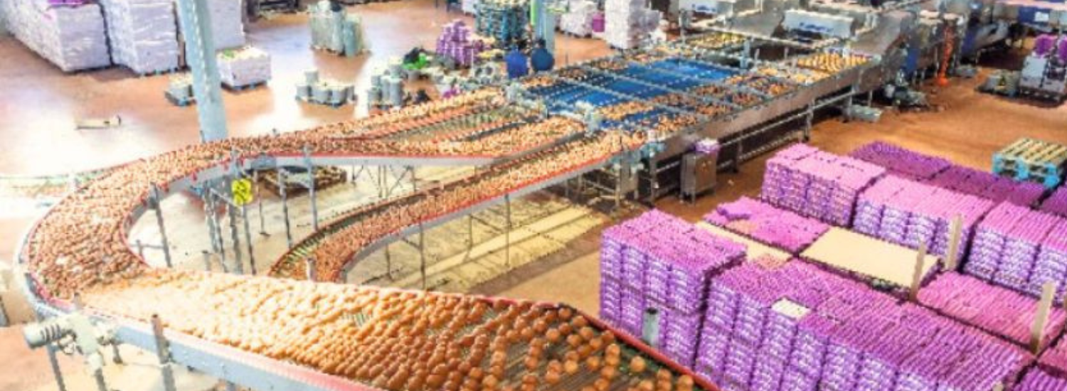 Egg Production – Wonway Construction